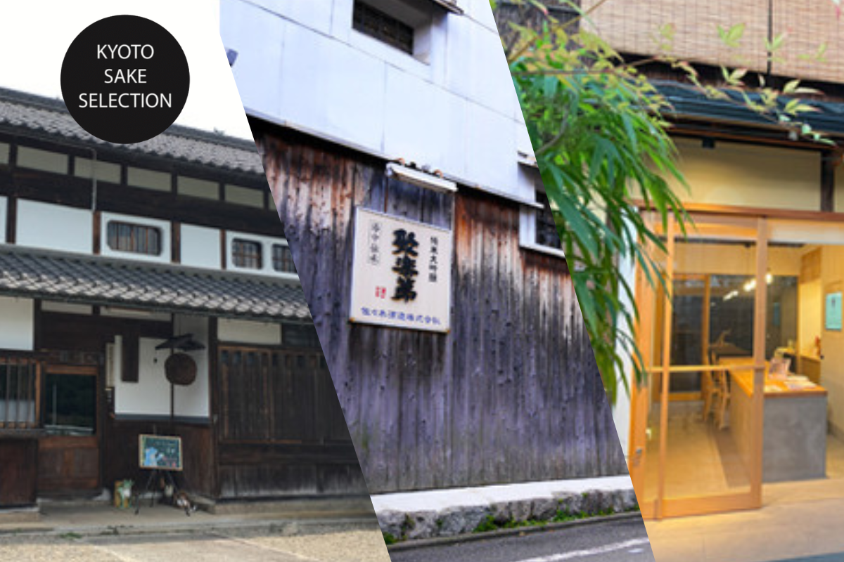 Kyoto Sake Selection – Kyoto’s Finest, Chosen for You 🍶🌸 - Sake Festival
